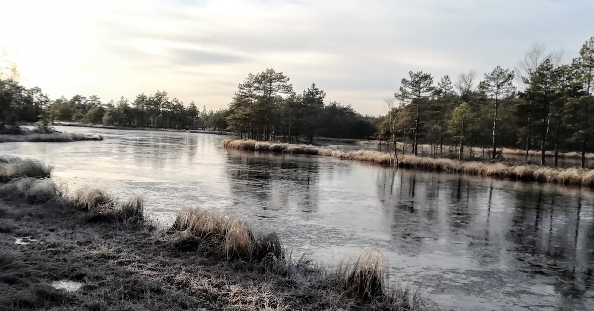 Rohtaias.: Mukri raba