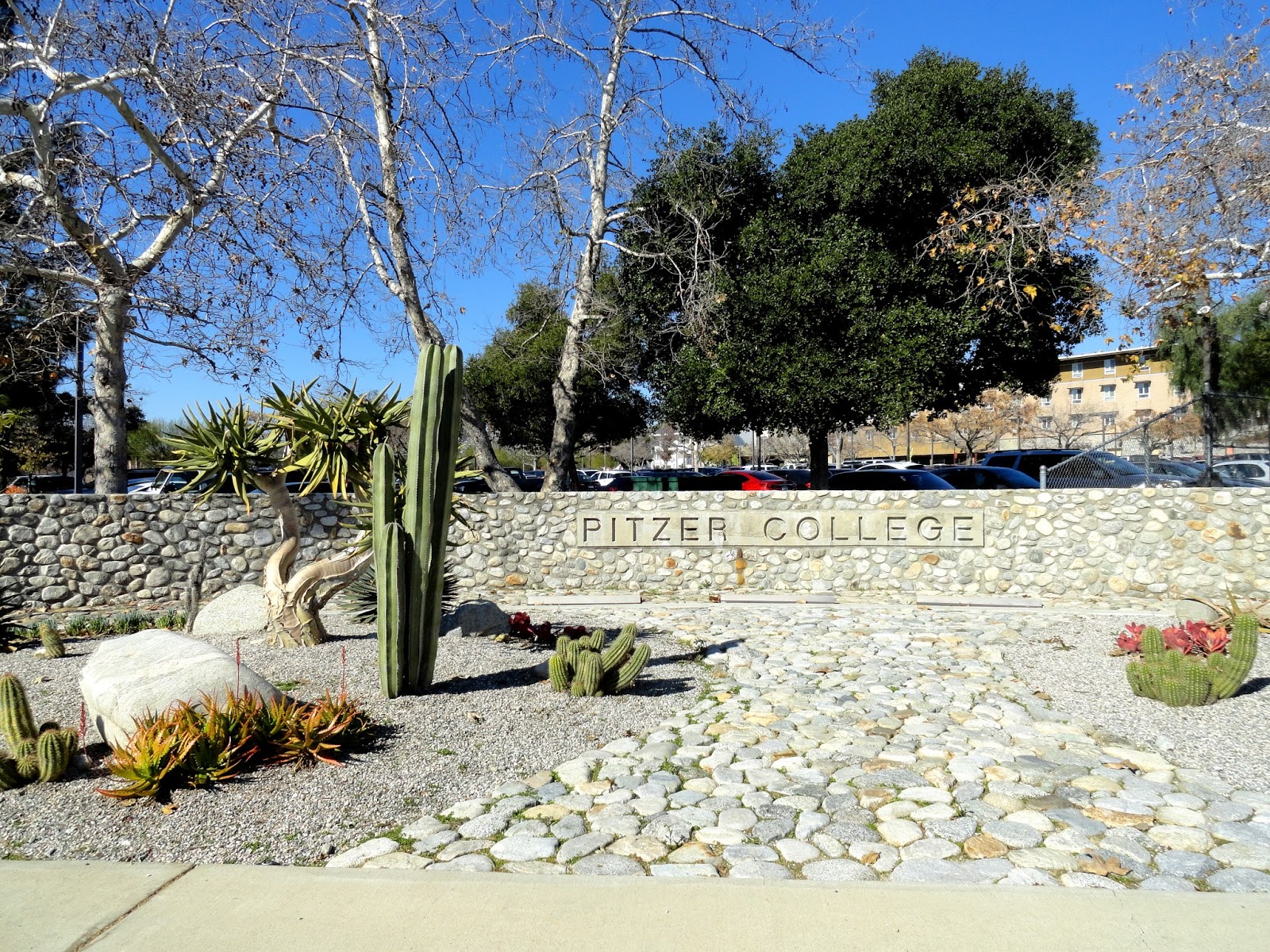 danger garden: Walking the Pitzer College Campus, part one...