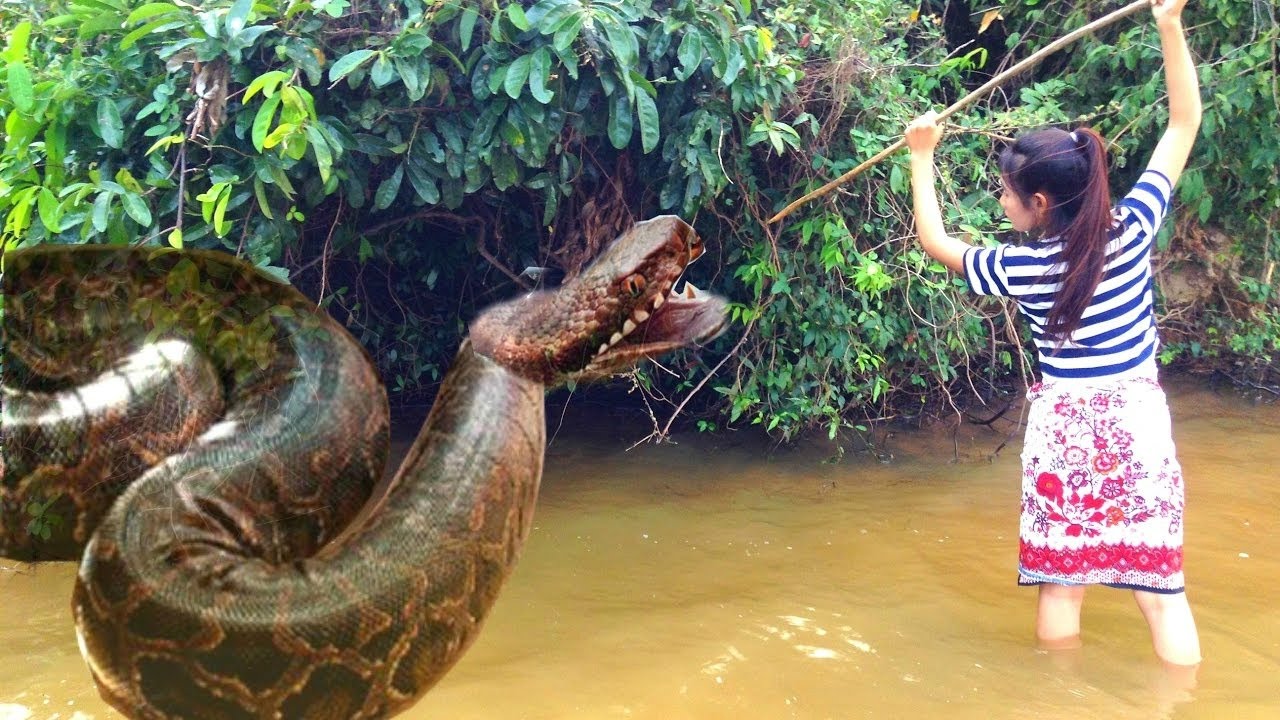 Social Media: Girl Setting Snake Traps