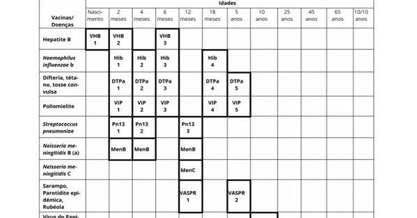 estado de Barrancos: Novo Programa Nacional de Vacinação (PNV)