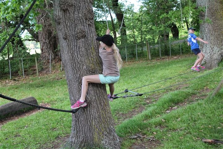 Room 6: Year 4 Camp at Stoney Creek Ranch