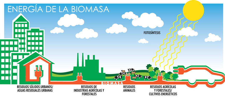 Biomasa.: Biomasa