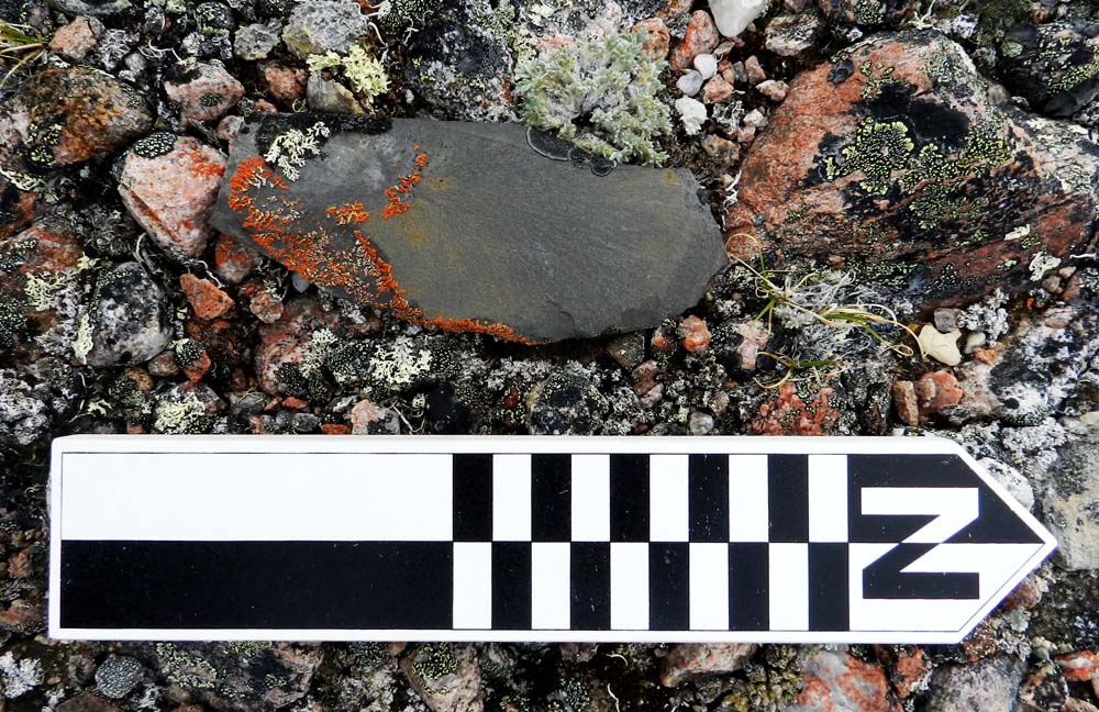 Elfshot: Chipped Slate Ulu Preform