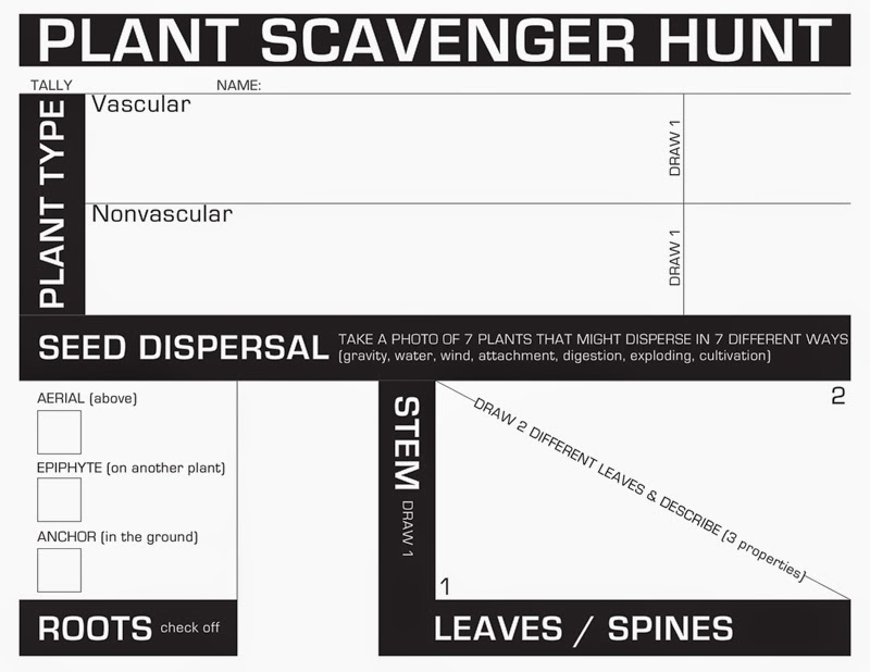 E is for Explore!: April 2015