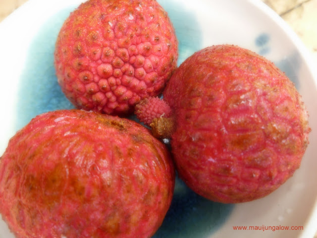Maui Jungalow: Lychee Season and a Story
