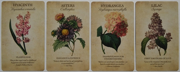 BOHEMIANESS: Oracle Deck Review: Botanical Inspirations