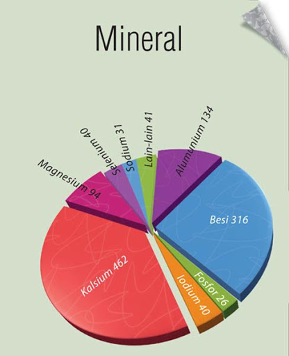 Jenis-Jenis Mineral yang Wajib Anda Ketahui - Dietetics Online