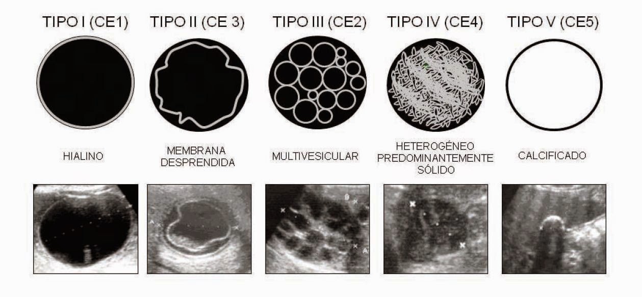 Revision Casos De Cirugia General: junio 2012