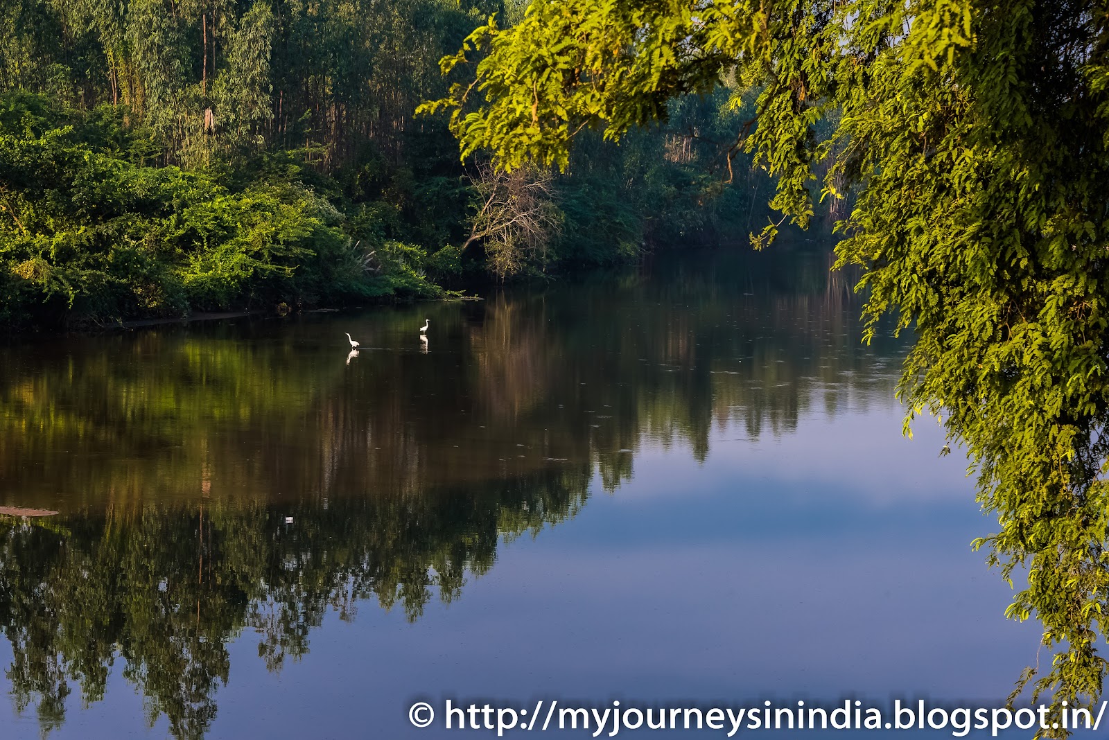 My Journeys In India: Trichy or Tiruchirappalli and Nearby Places