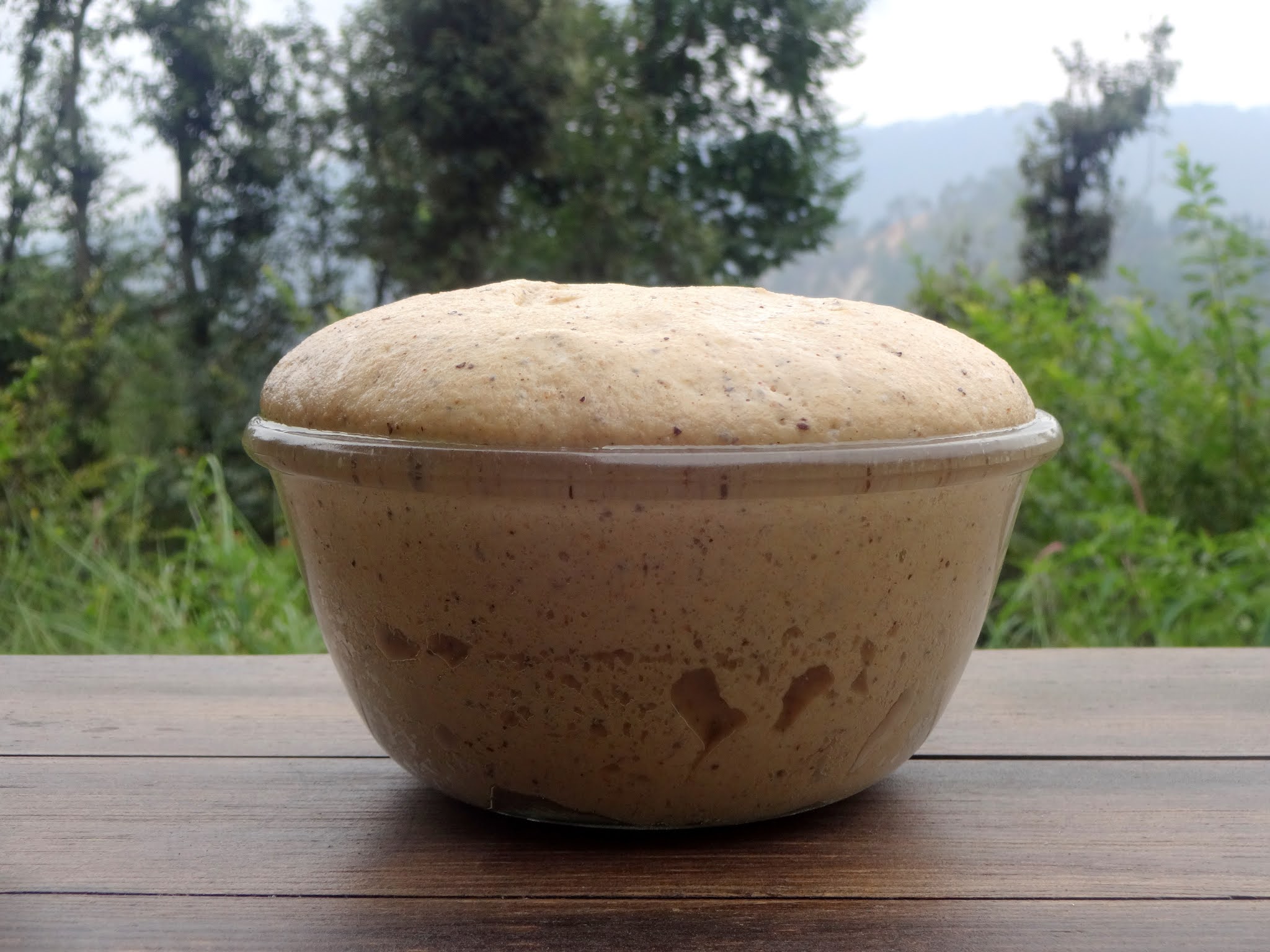 Hemp and Honey Whole Wheat Bread / #BreadBakers | Ambrosia