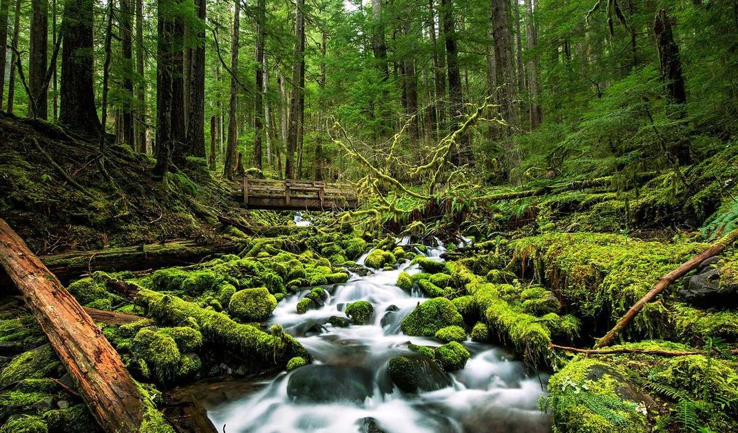 Learning from Nature