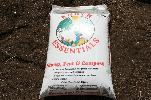 The Flower Bin: Your best garden starts now