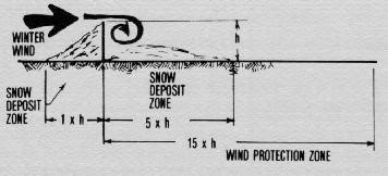 The Woodsman's Journal Online: ...Seeking Shelter Against the Wind©