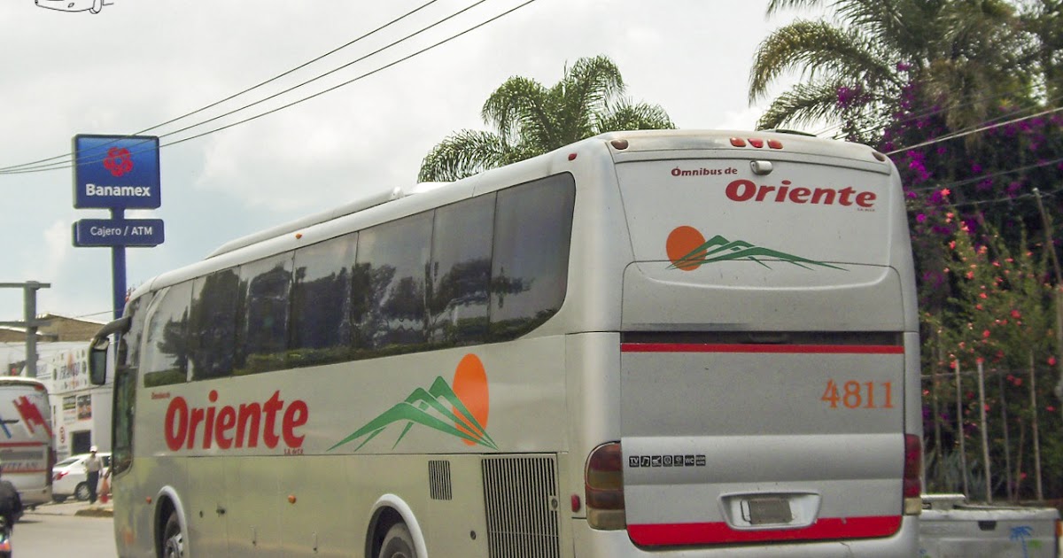 MAXIBUSES: OMNIBUS DE ORIENTE