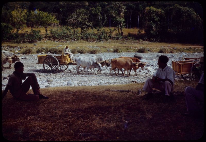 Everyday Life of Puerto Rico in the Mid-1940s Through Amazing Color ...