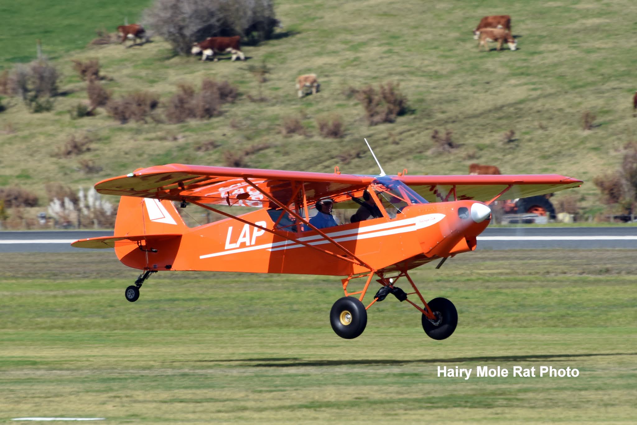 NZ Civil Aircraft: New Savage Cub at Tauranga Today 8-8-2020 And First ...