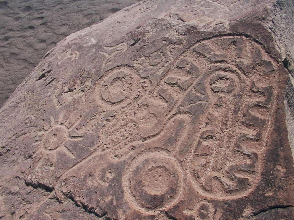 TRAVEL AND TOUR (viajes y turismo): TORO MUERTO