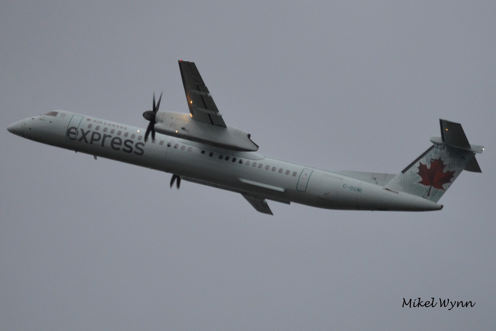 M. Wynn: "Wild Card" Aviation Photography & Images: 2019