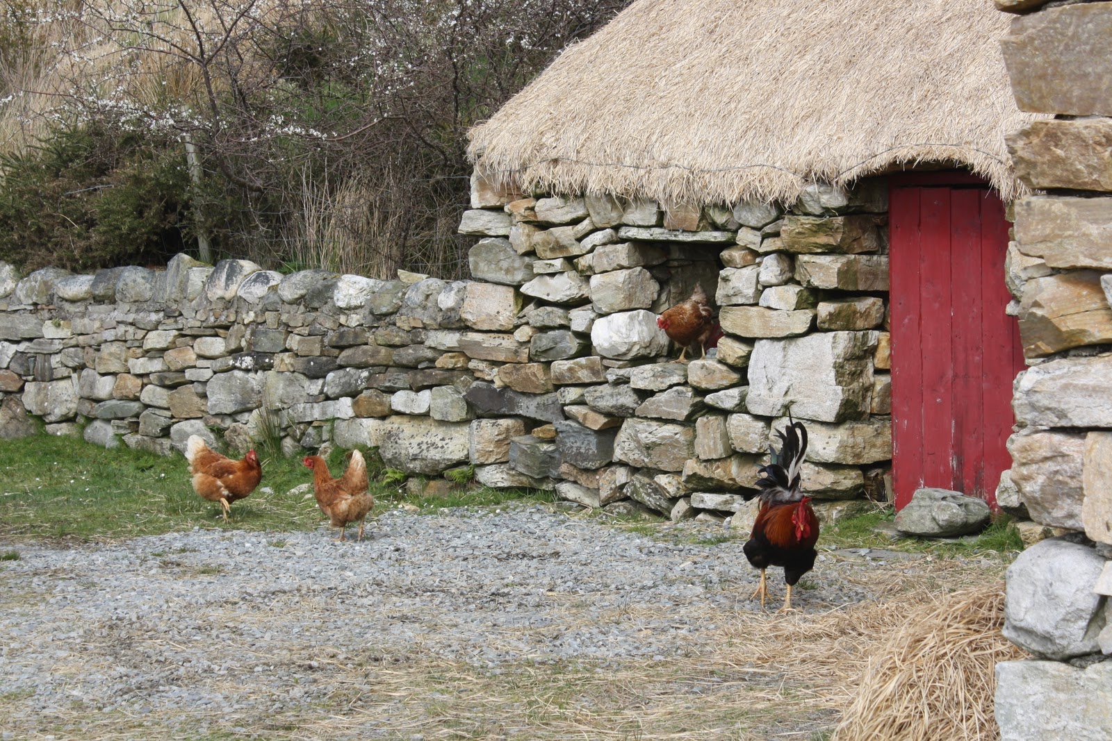 The Road Awaits...: Irish Barns!