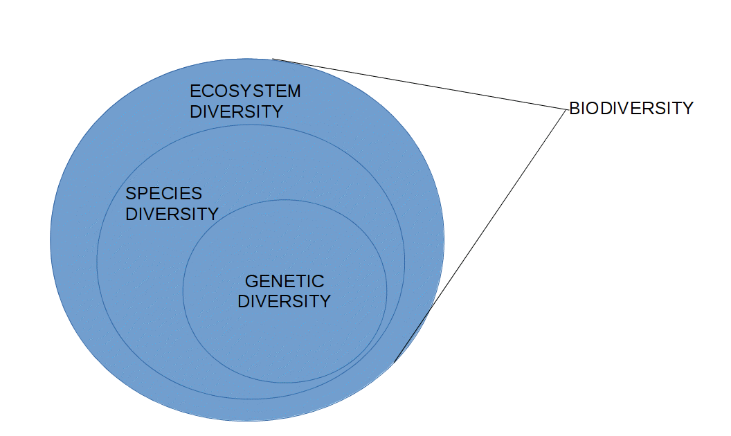 Environmental Sciences: Biodiversity - Genetic, Species and Ecosystem ...
