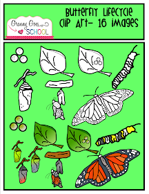 Butterfly Life Cycle Clipart