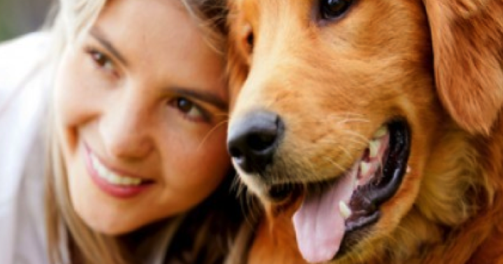 Tips Para Mascotas La Importancia De Esterilizar A Tu Mascota ClÍnica
