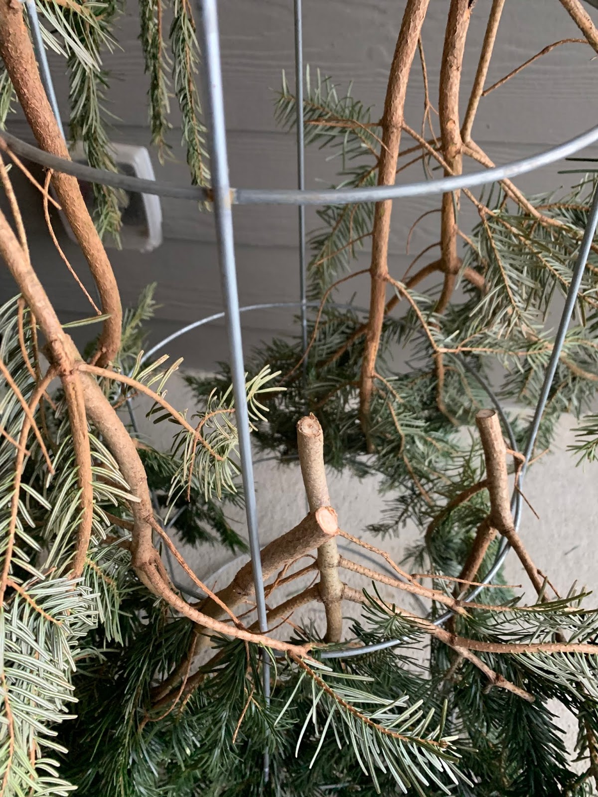 CO-Horts: Make a Holiday Tree from a Tomato Cage