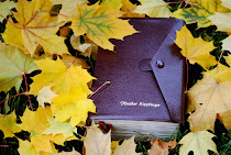 Sister Heather Ripplinger: Sister Ripplinger's First Letter from Nauvoo ...