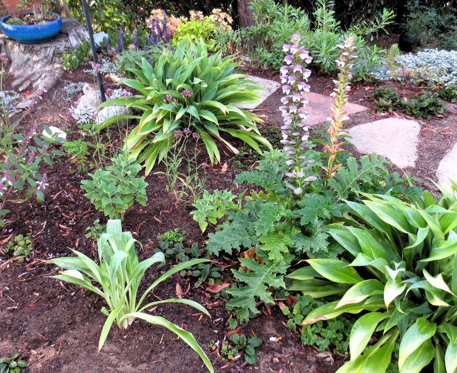 Late to the Garden Party: Renga Lilies Everywhere