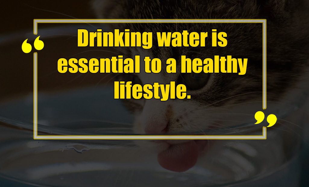 70+ Best Drinking Water quotes - Quotes of the Day