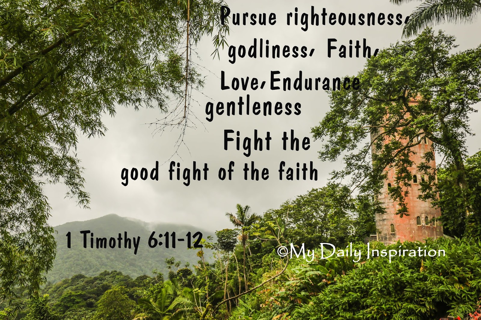 Fight the good fight of the faith