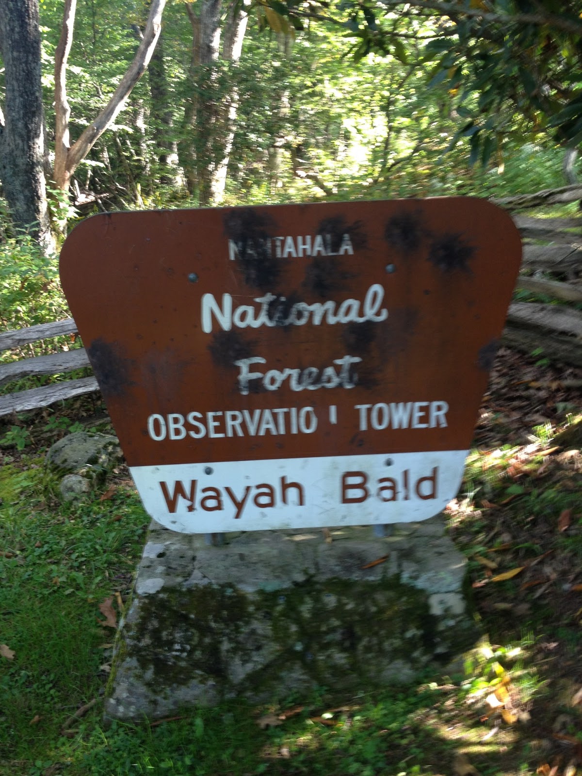 Wayah Bald... What a View!