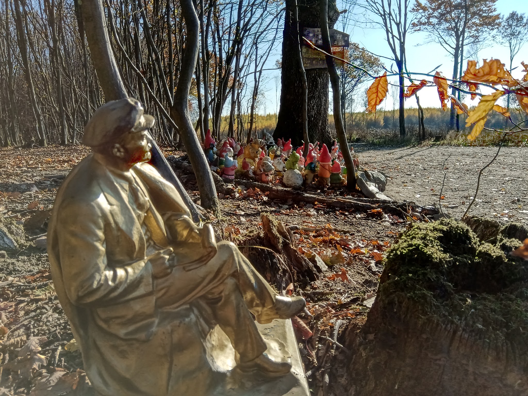 MEDITÁCIÓ - a kolostor udvarán: Az erdő szelleme