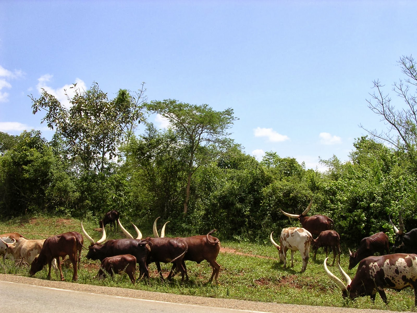 Hansens in Uganda: Kyangwali Refugee Camp