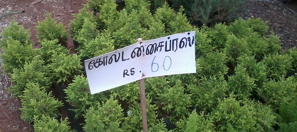 KANYAKUMARI TOURISM: Kuzhithurai Vavubali Exhibition - Kanyakumari