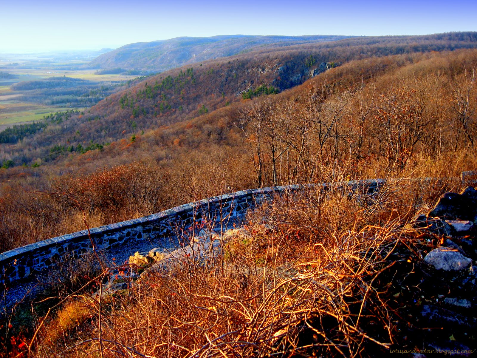 Lotus and Cedar: Gatineau Park Trail Running (Marathon Plus Distance ...