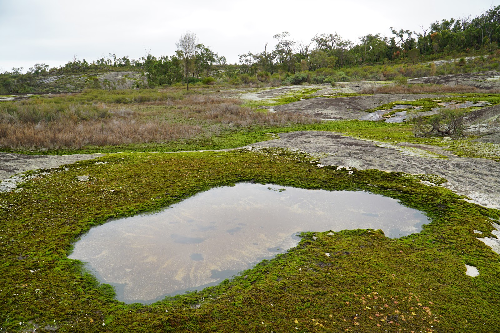 Abyssinia Rock Walk GPS Route (Jarrahdale State Forest) ~ The Long Way ...