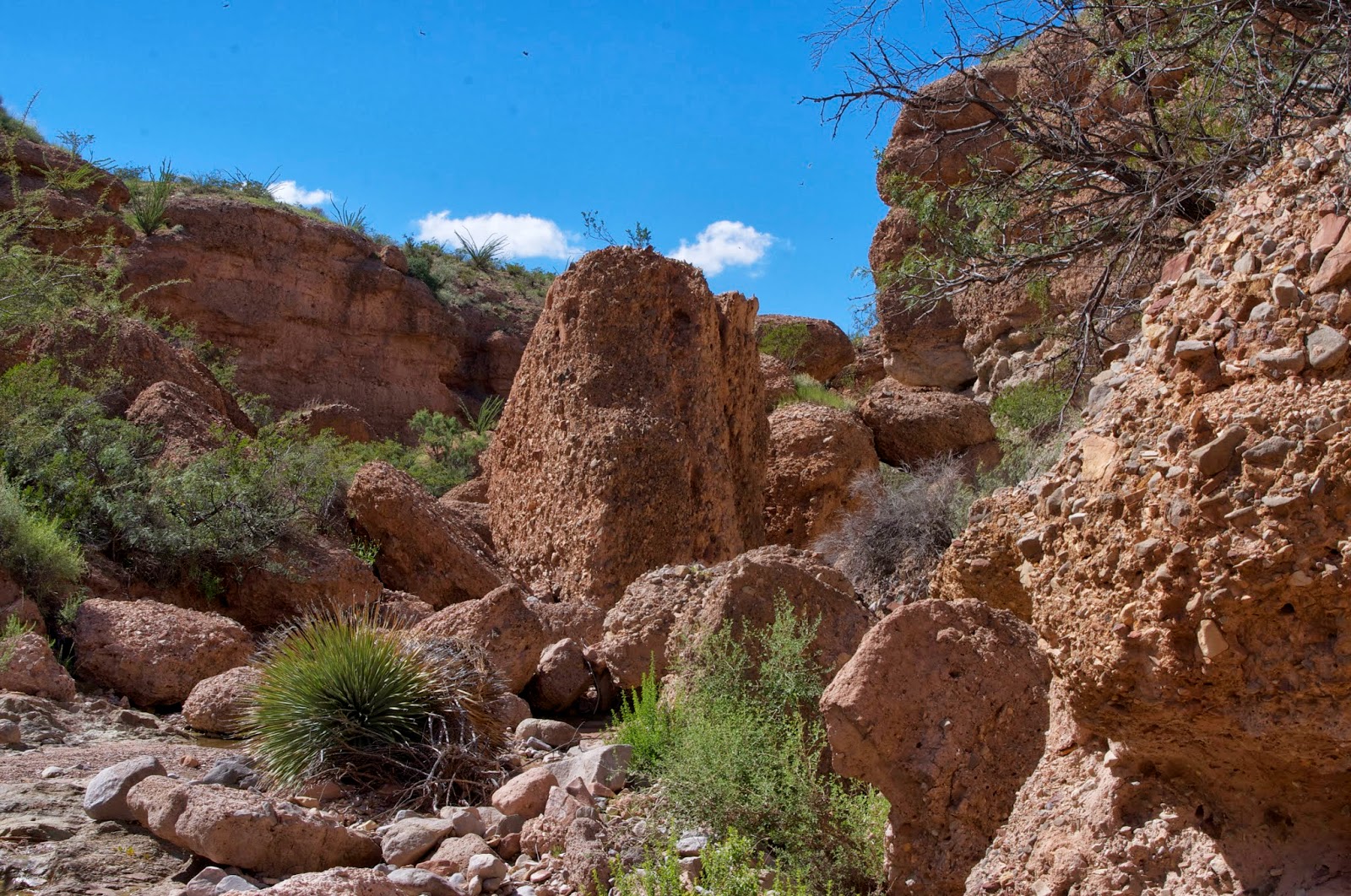 Southern New Mexico Explorer: Spring Canyon- Robledo Mountains
