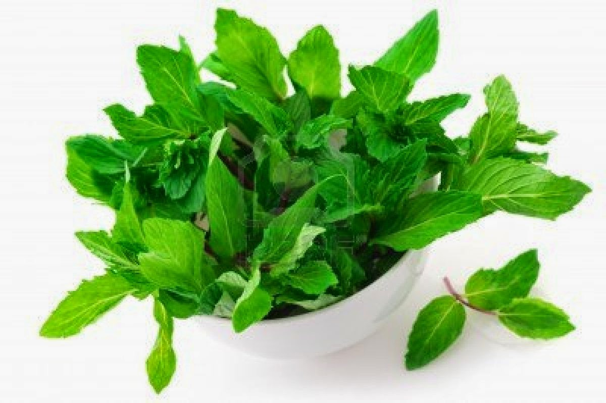 Menthol Crystals, Essential Oils, Mint Products: Natural Mint Products