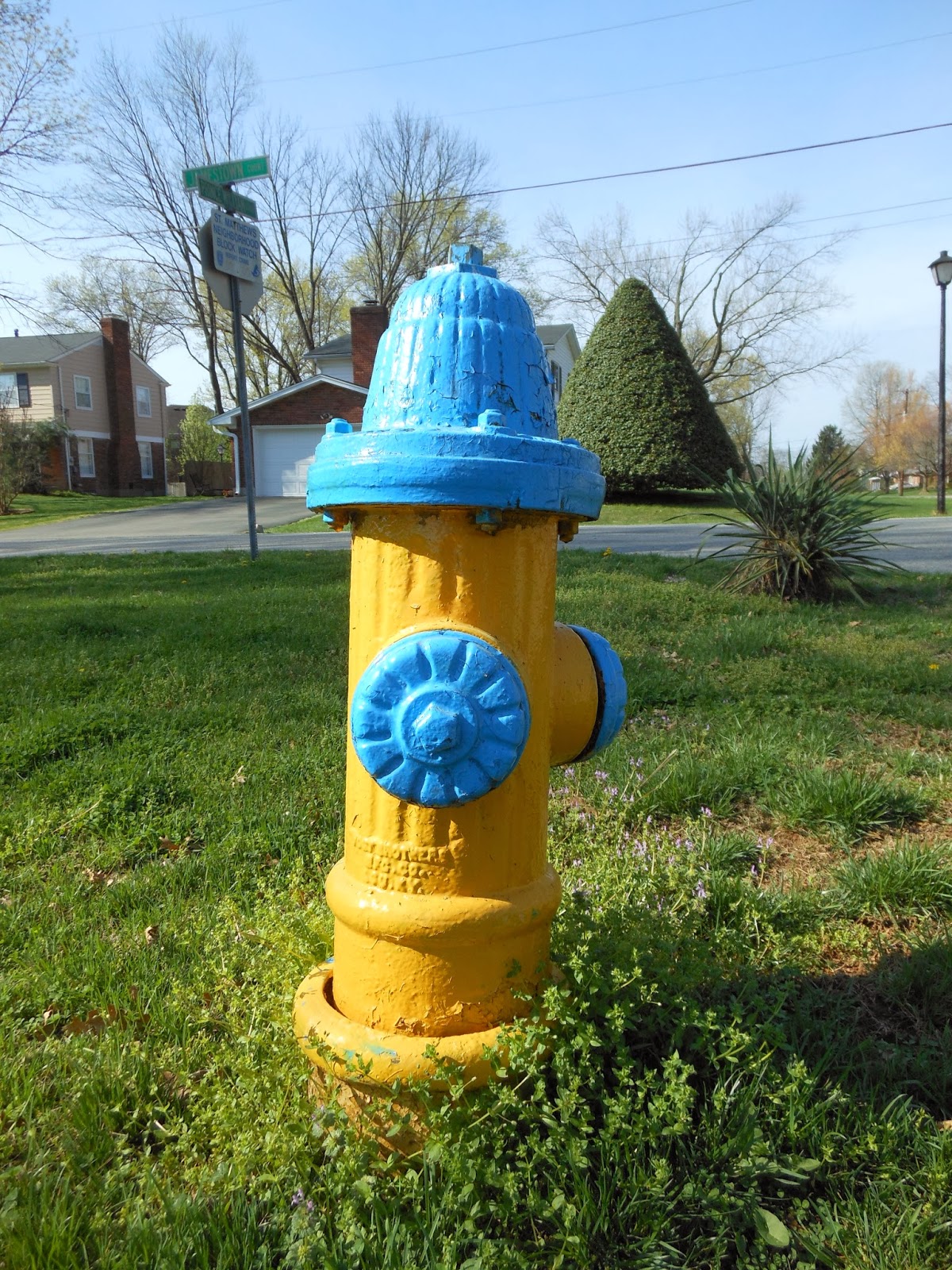 Kathy's Daily Art: Photo suite 101 -- yellow hydrants