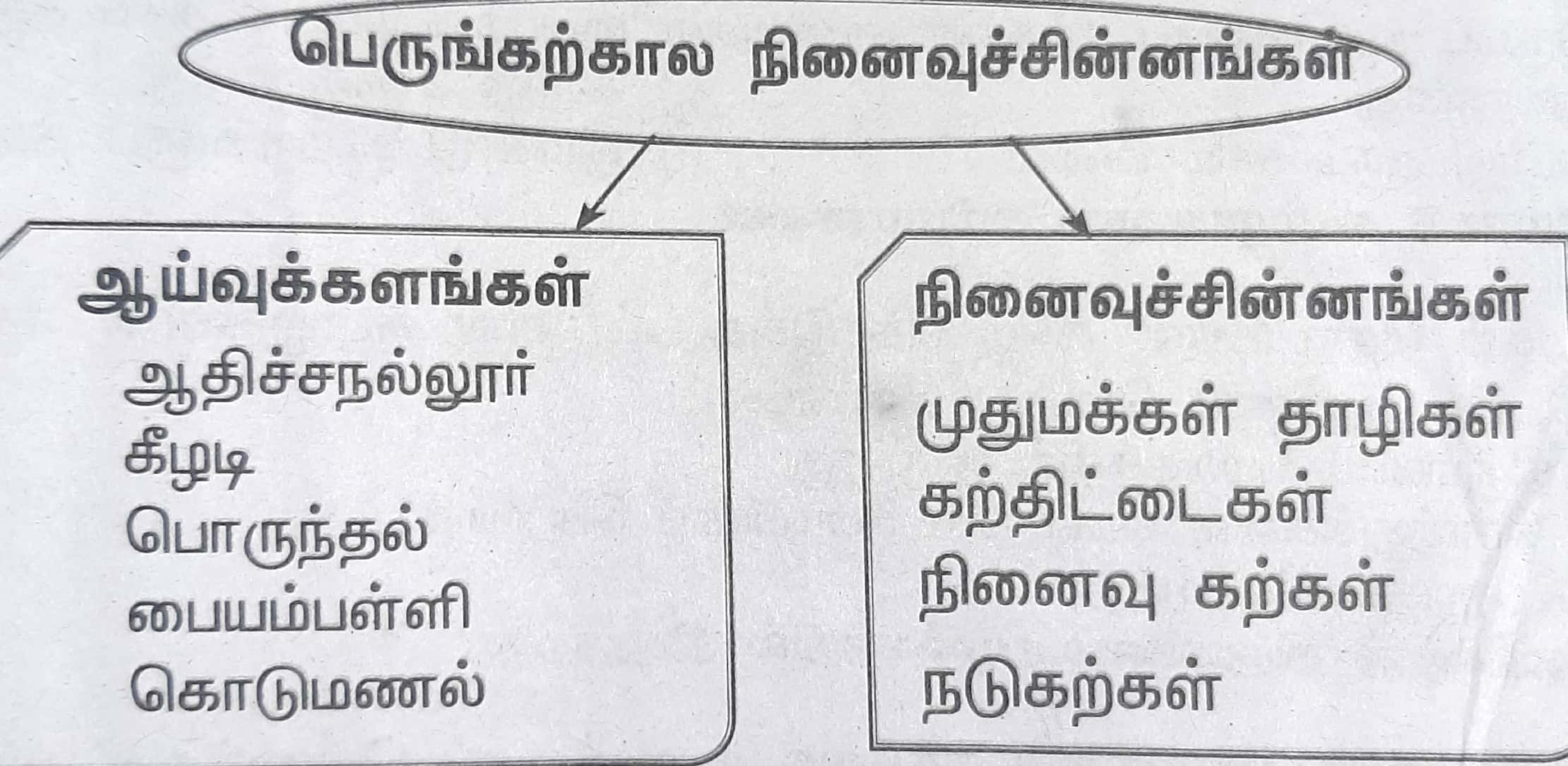 6th Social Science Term 2 Book Back Question Answer 6th-social-science-term-2-book-back-question-answer