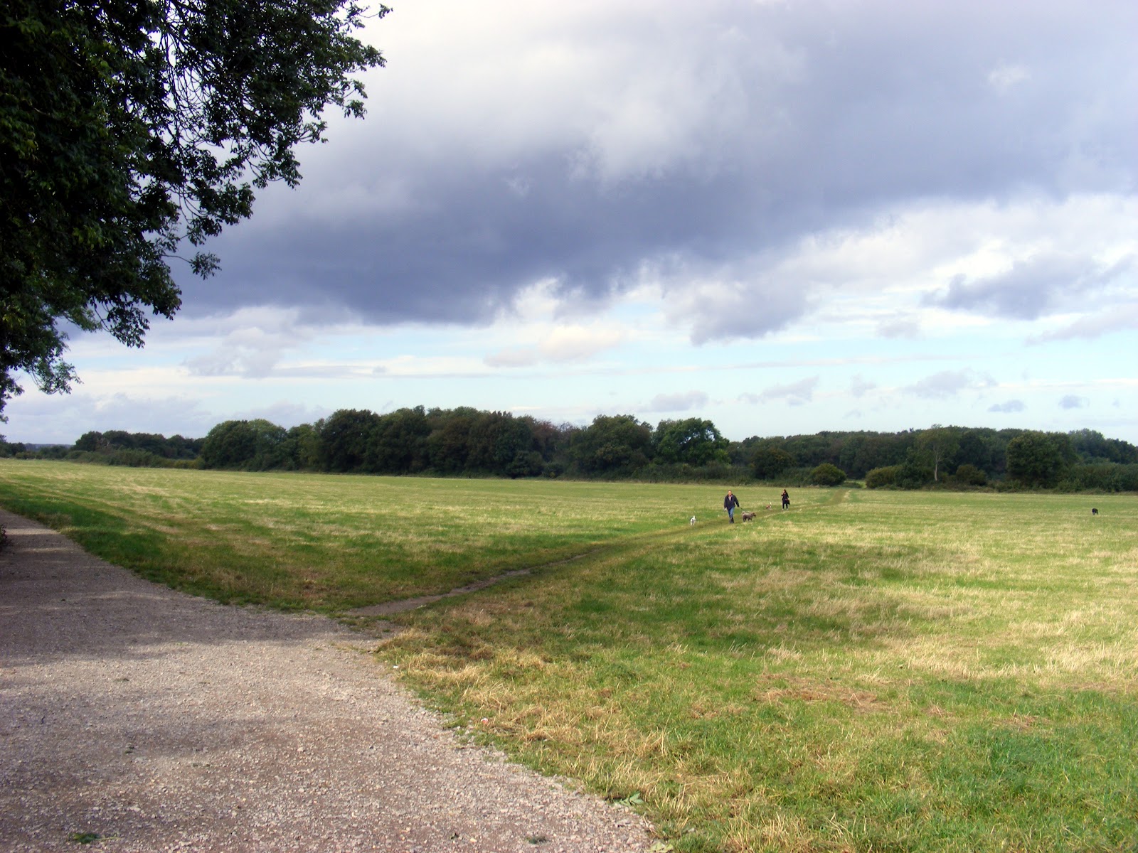 TheLondonLoop: London Loop-Hamsey Green to Banstead 3rd October 2012