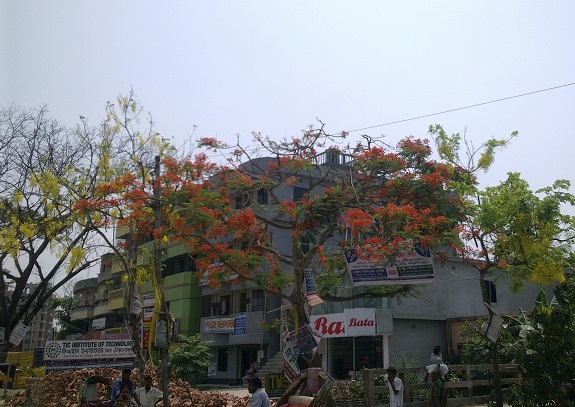 Homna - Comilla: Gouripur, Daudkandi Comilla | Images Part 1