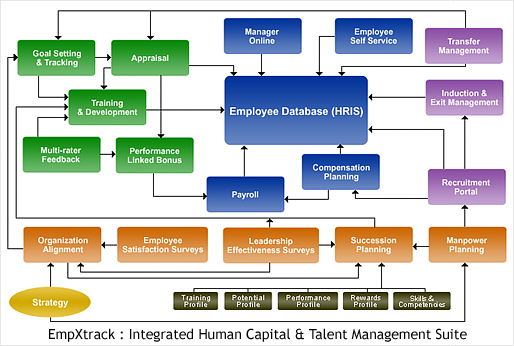 Info SDM: Model MSDM