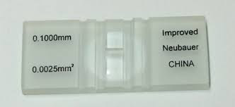 IBG 102 Biology for Technologist: LAB 2 : MEASUREMENT AND COUNTING OF ...
