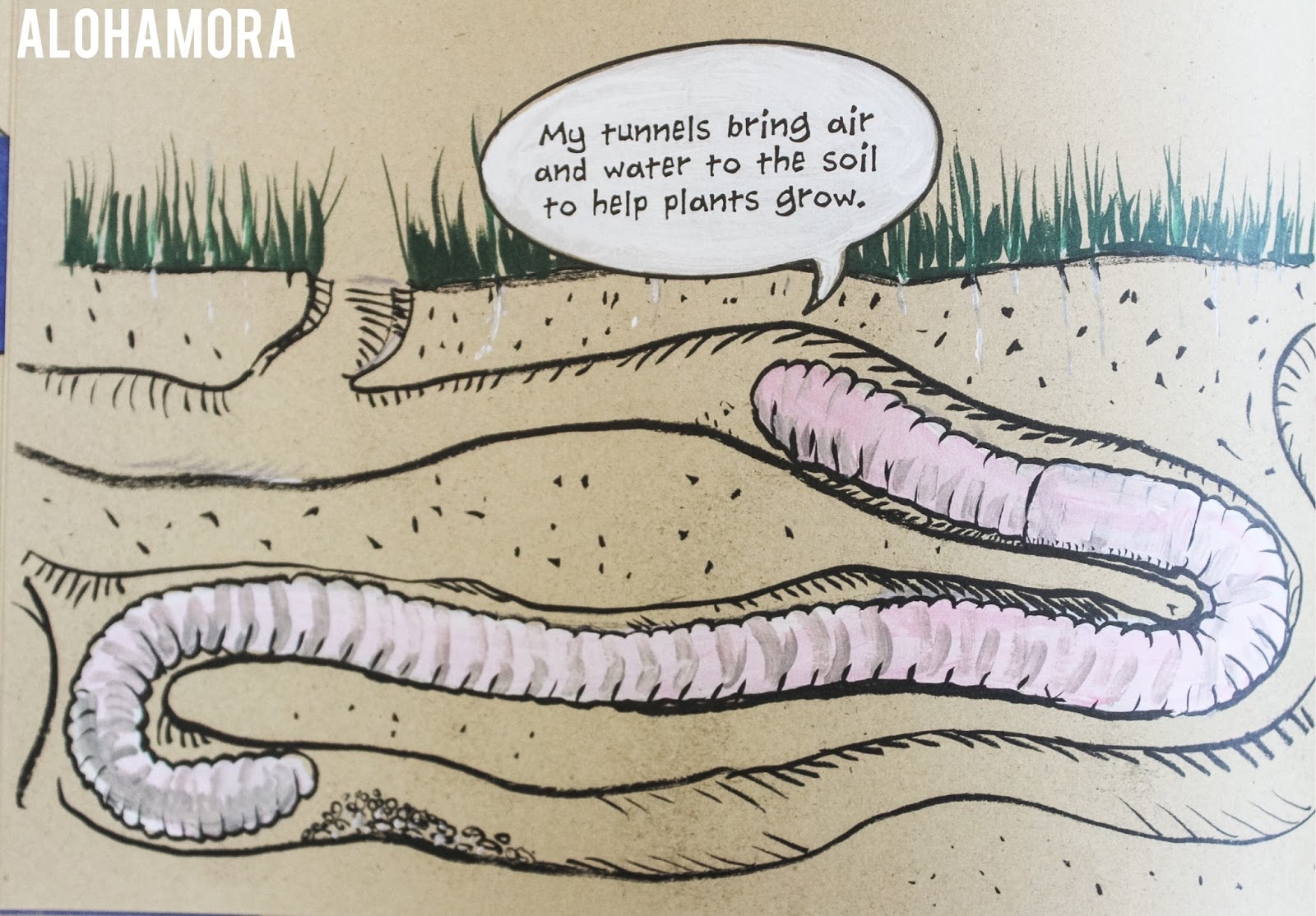 Alohamora: Open a Book: We Dig Worms! gets 3.5 Stars {Comic} {Non-Fiction}