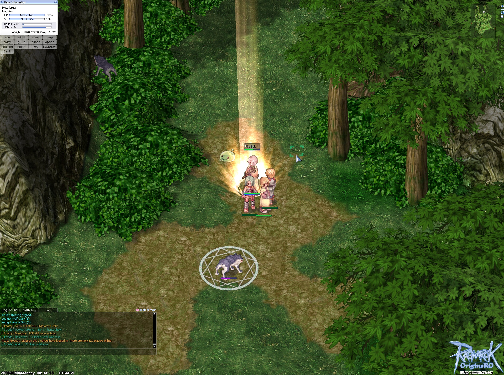 My Life in Ragnarok: 2020