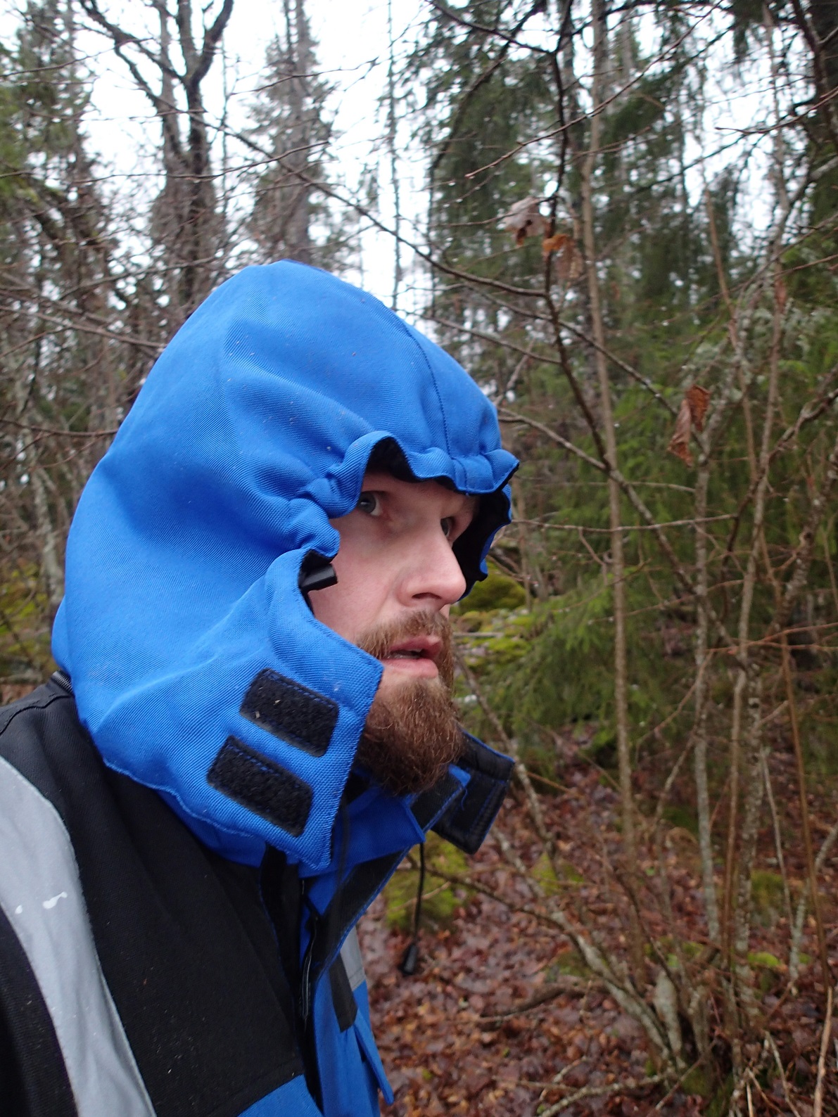 Jonas Vildmark: Survival