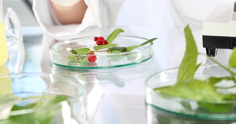 La Multiplication végétative