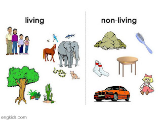 A Piece of Cake!: Reviewing Unit 4: The Plant Kingdom